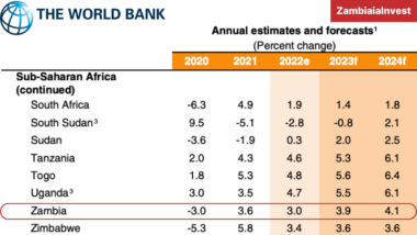 Zambia's GDP to Grow by 3.9% in 2023 and 4.1% in 2024, WB Forecasts ...