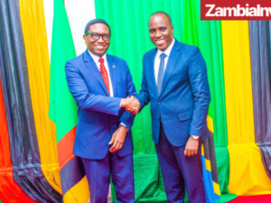 Zambia Commissions 100MW Solar Power Plant in Chisamba to Support ...